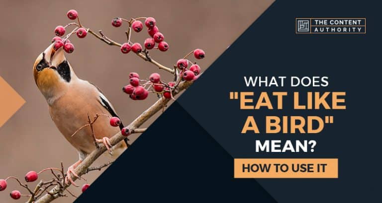 What Does Eat Like A Bird Mean How To Use It what-does-eat-like-a-bird-mean-how-to-use-it