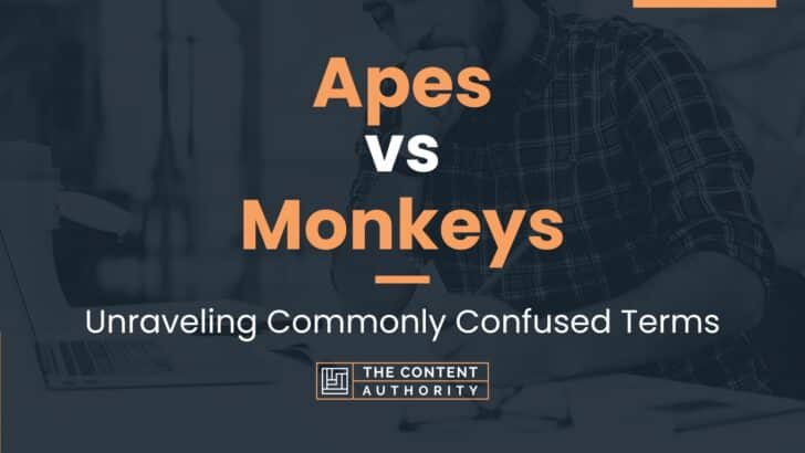 Apes vs Monkeys: Unraveling Commonly Confused Terms Apes vs Monkeys: Unraveling Commonly Confused Terms