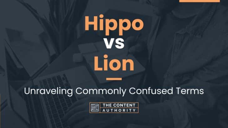 Hippo vs Lion: Unraveling Commonly Confused Terms Hippo vs Lion: Unraveling Commonly Confused Terms