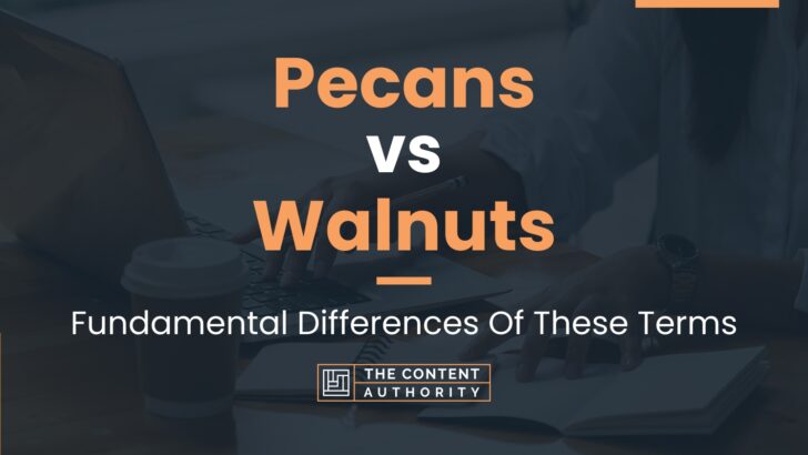 Pecans Vs Walnuts Fundamental Differences Of These Terms