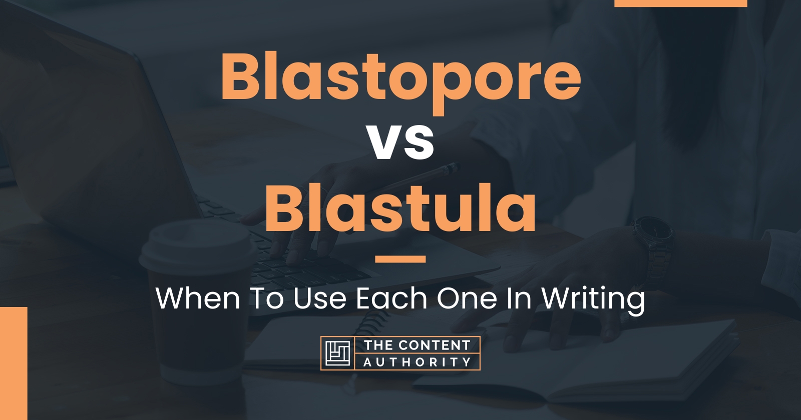 Blastopore Vs Blastula When To Use Each One In Writing