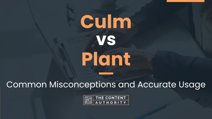 Culm Vs Plant Common Misconceptions And Accurate Usage