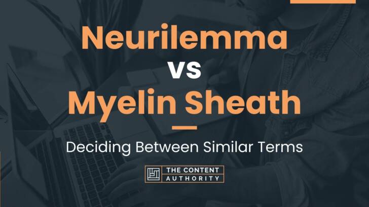 Neurilemma Vs Myelin Sheath Deciding Between Similar Terms