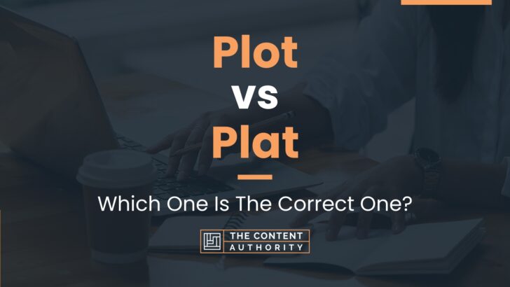 Plot Vs Plat Which One Is The Correct One 