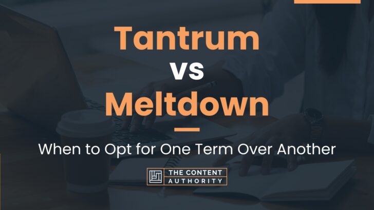 Tantrum vs Meltdown: When to Opt for One Term Over Another Tantrum vs Meltdown: When to Opt for One Term Over Another