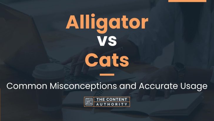 Alligator Vs Cats Common Misconceptions And Accurate Usage