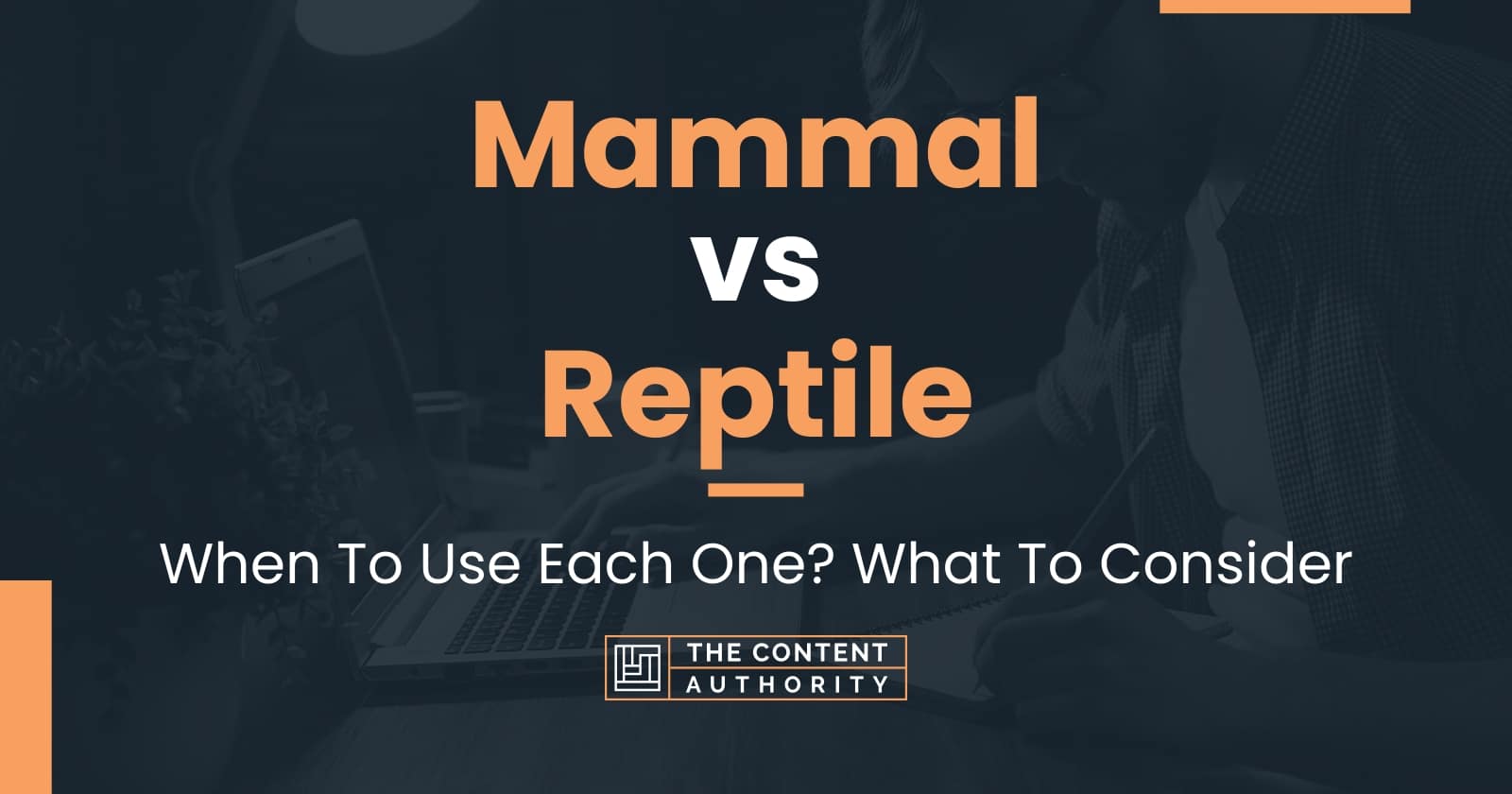 Mammal Vs Reptile When To Use Each One What To Consider