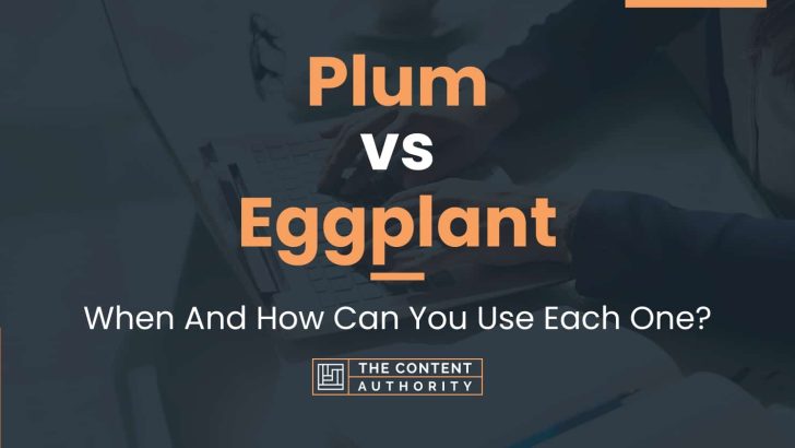 Plum Vs Eggplant When And How Can You Use Each One