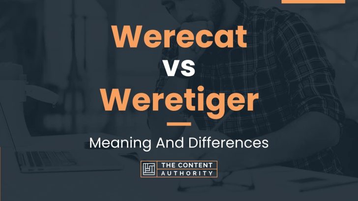 Werecat Vs Weretiger Meaning And Differences