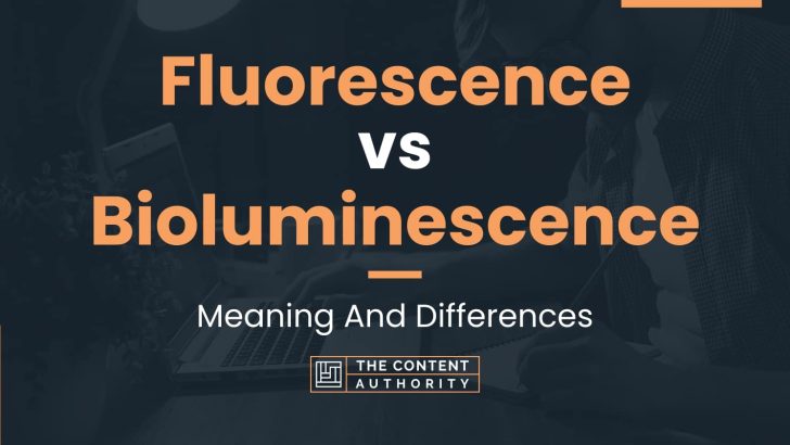 Fluorescence Vs Bioluminescence Meaning And Differences
