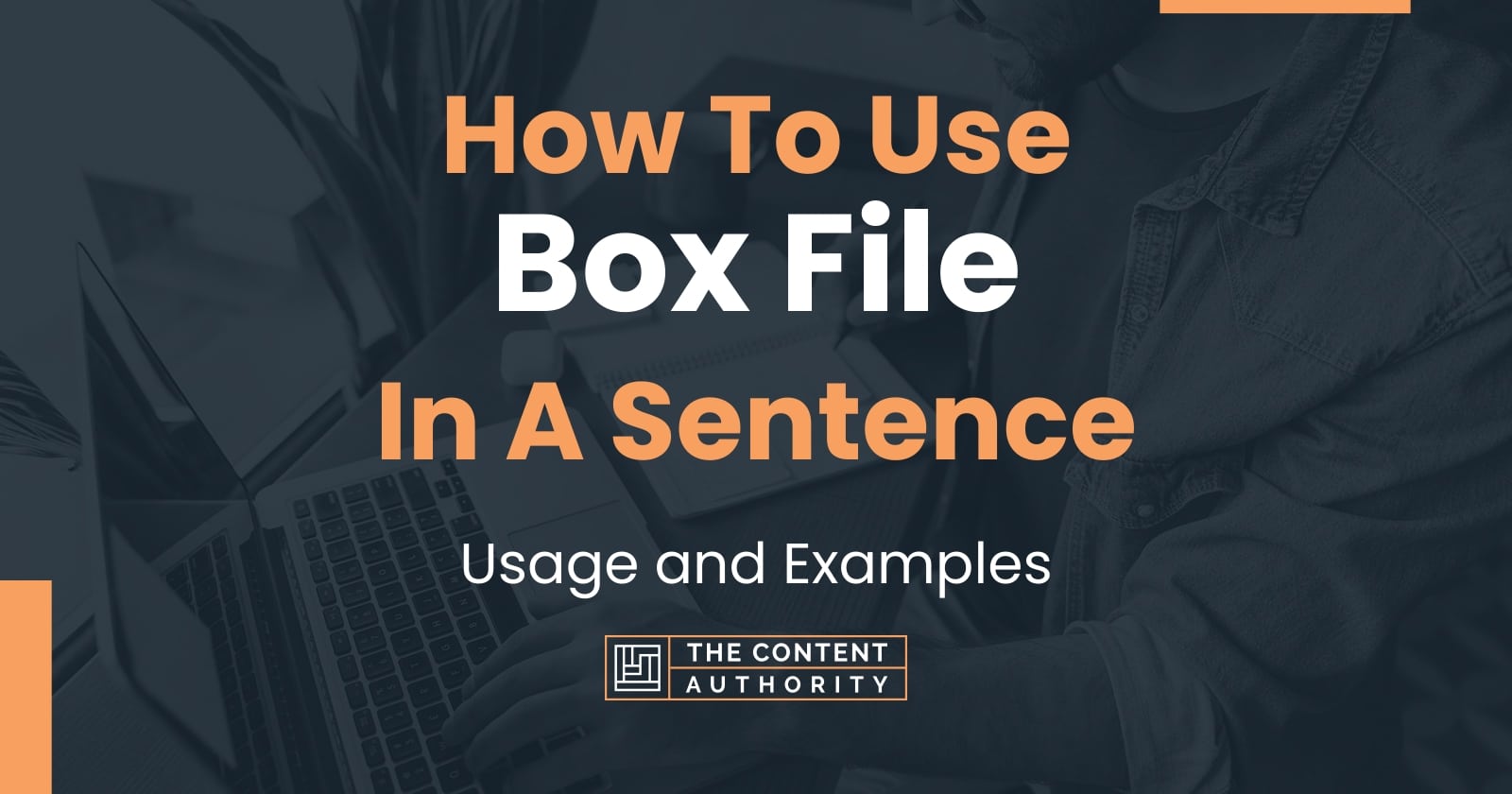 How To Use Box File In A Sentence Usage And Examples