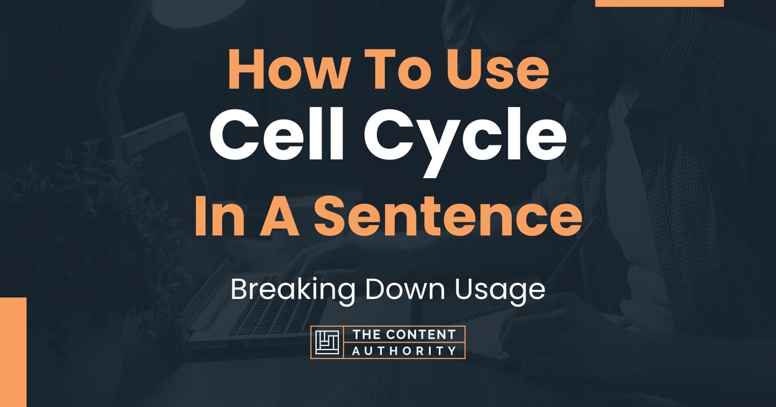 How To Use Cell Cycle In A Sentence Breaking Down Usage how-to-use-cell-cycle-in-a-sentence-breaking-down-usage
