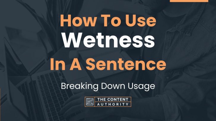 How To Use Wetness In A Sentence Breaking Down Usage